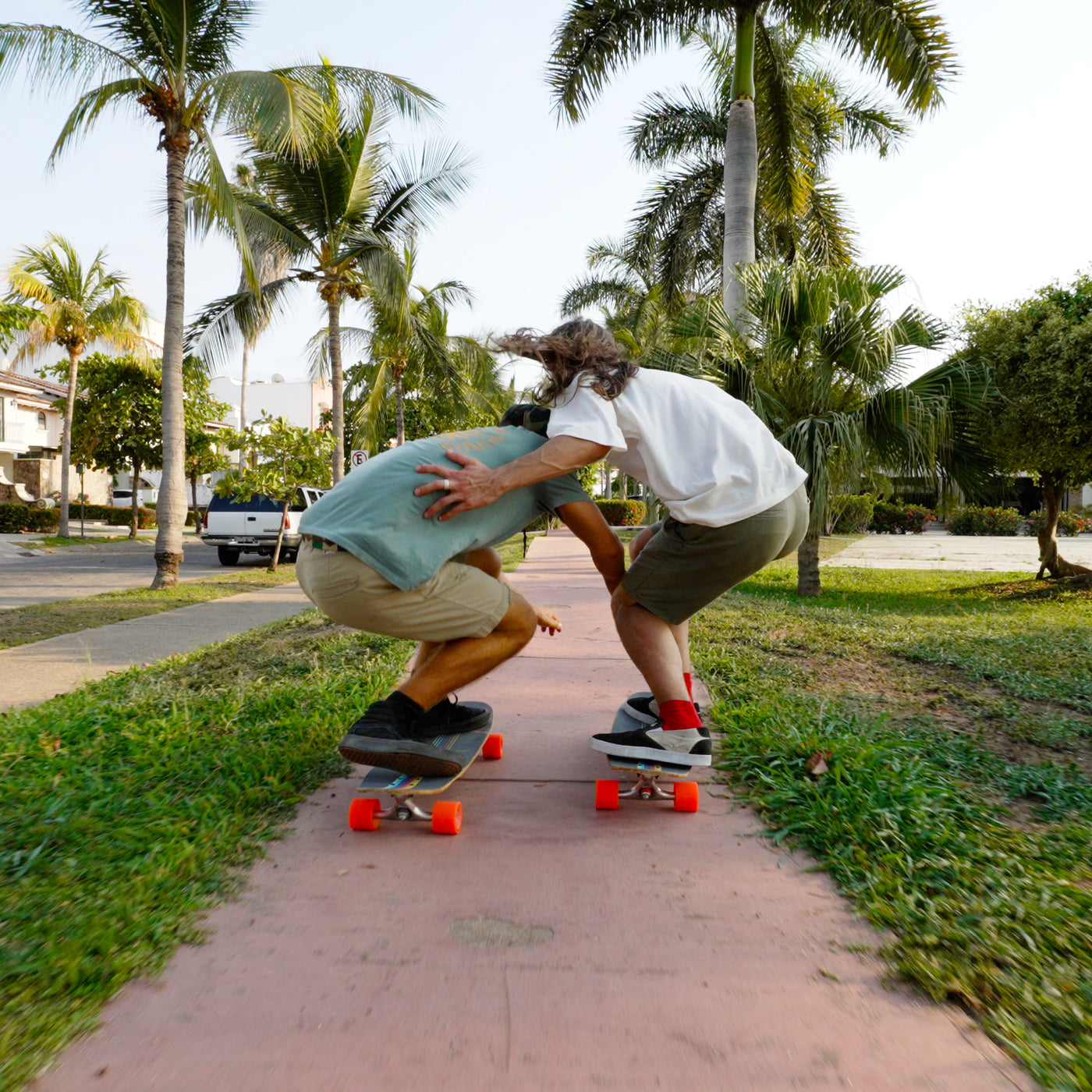 Loaded Chinchiller Carving and Pumping Longboard Skateboard – Loaded Boards